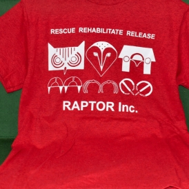 RAPTOR Inc - shop